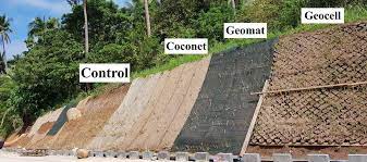 Slope Protection NTPC Project in Gurgaon Haryana - Case Study